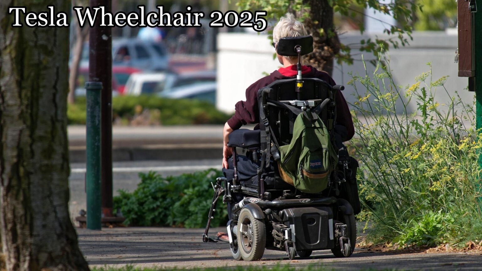Tesla Wheelchair 2025: Elon Musk Unveils Surprising Price & Production ...